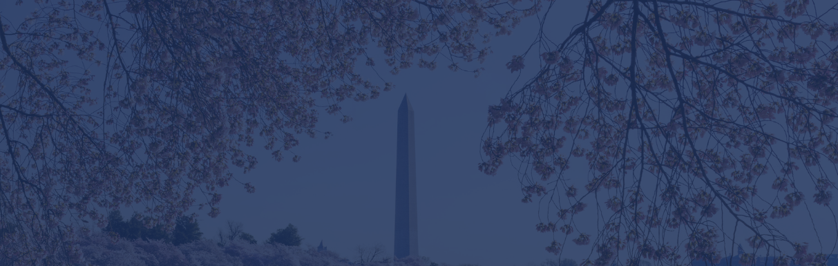 Blue Header Tumblr