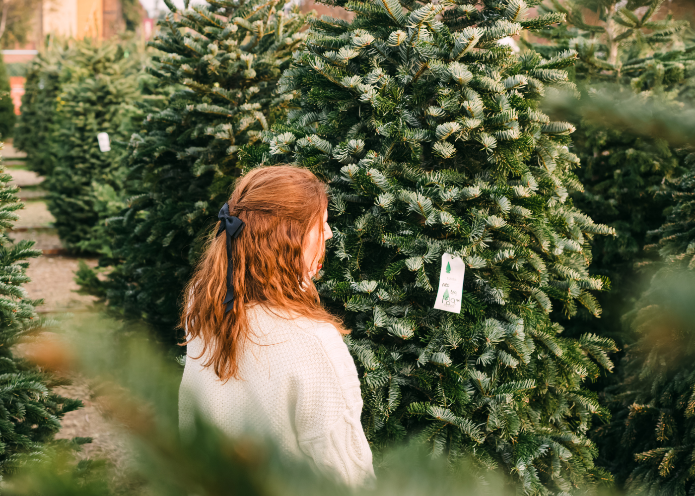 Americans Are Paying More This Holiday Season Thanks to Trump’s ...